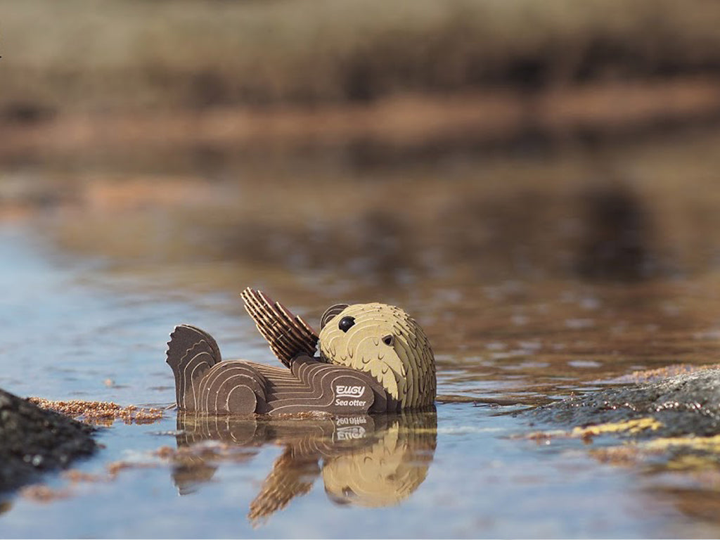 Eugy Dodoland 3D Paper Animal Model Kid Jigsaw Puzzle – JollyWhaleAU