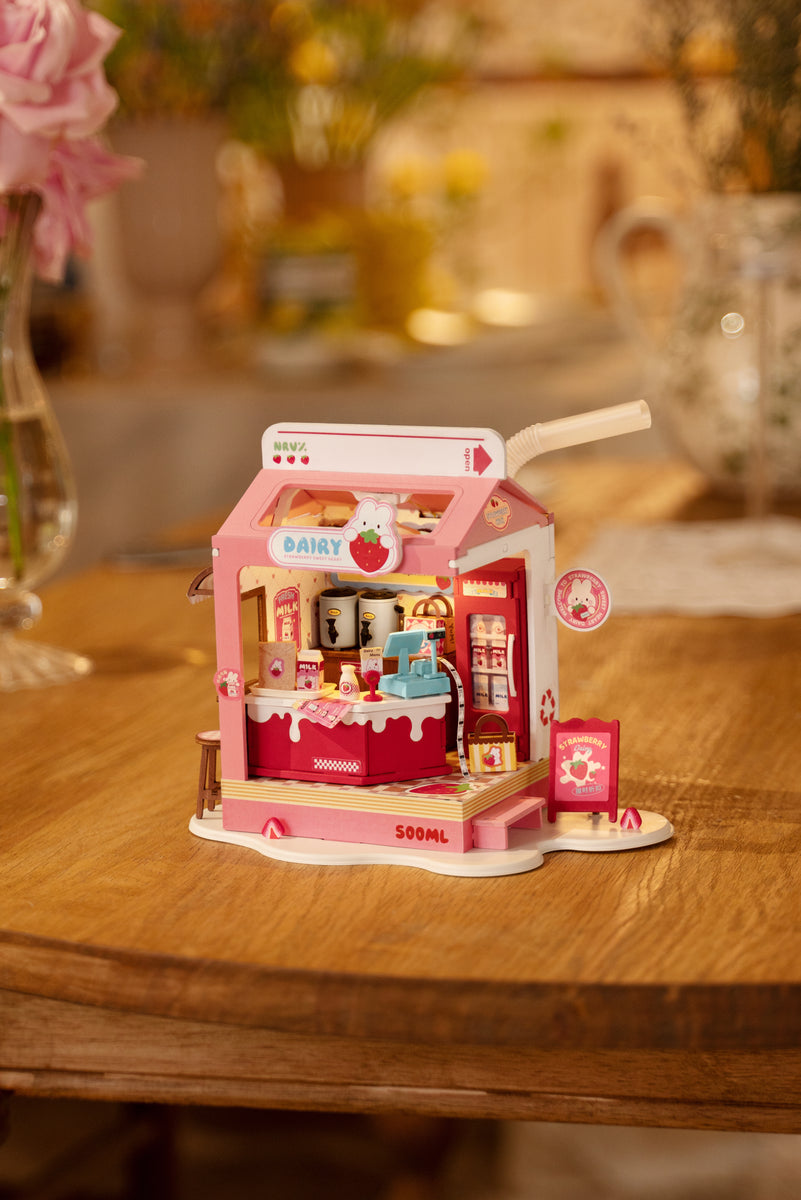 RT- Food Box Shop - DIY Miniature House Kit - Simple Level – JollyWhaleAU